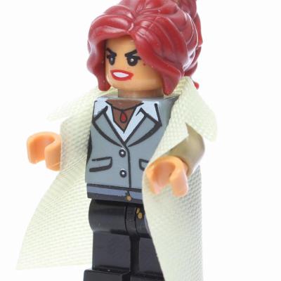 HeroBloks - Barbara Gordon - Pogo - PG-165
