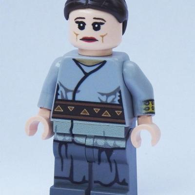 HeroBloks - Shmi Skywalker Lars - Engineerio