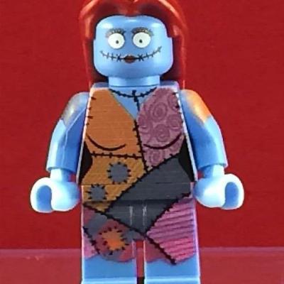 HeroBloks - Sally Shock - BigKidBrix