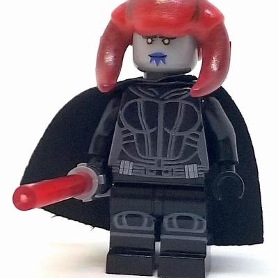 HeroBloks - Darth Cognus - Calypso Customs