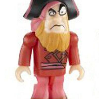 HeroBloks - Redbeard - Character Building