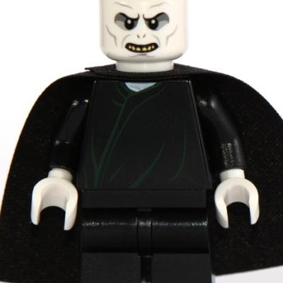 HeroBloks - Lord Voldemort - Lego - HP098