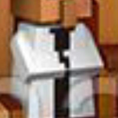 HeroBloks - Librarian Villager - - QL0502