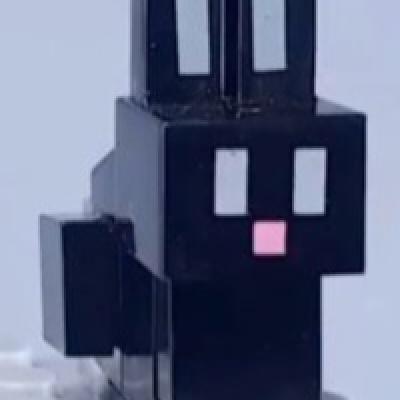 HeroBloks - Minecraft Black Rabbit - Sheng Yuan - SY691-1